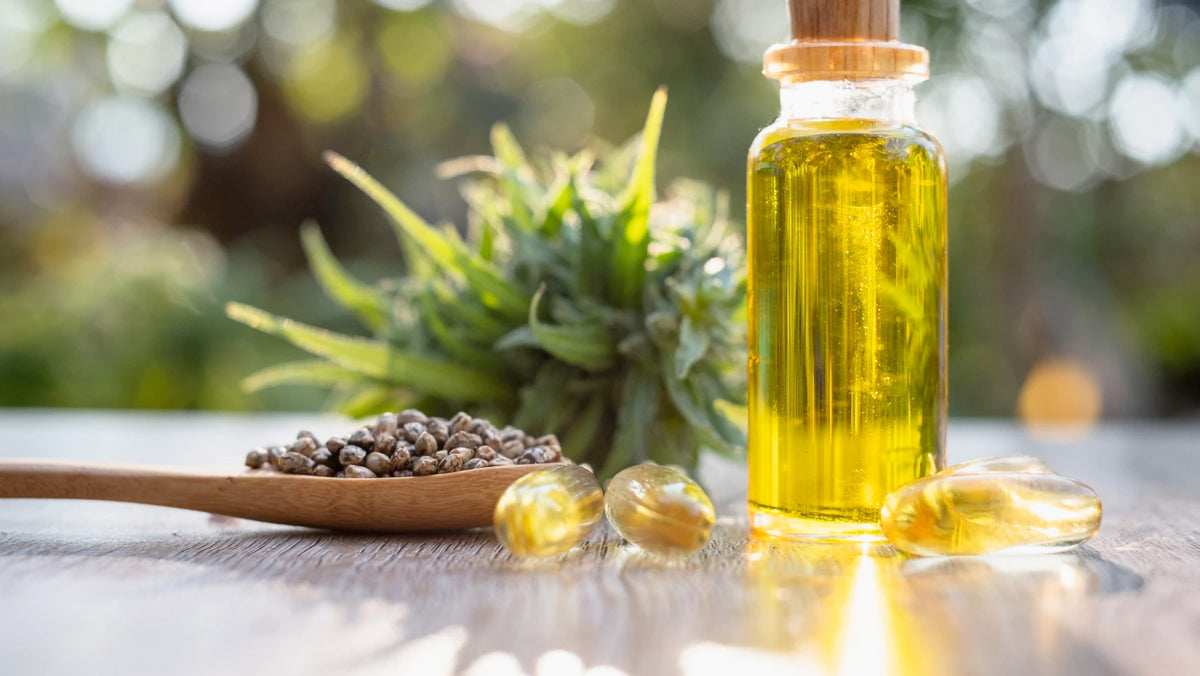 What is a CBD COA?: 4 key things to look for on a CBD Certificate of A